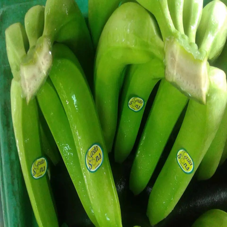 Buy Fresh Premium Bananas from kilsan Cegi Ve Se Dis Tic Ltd Sti ...
