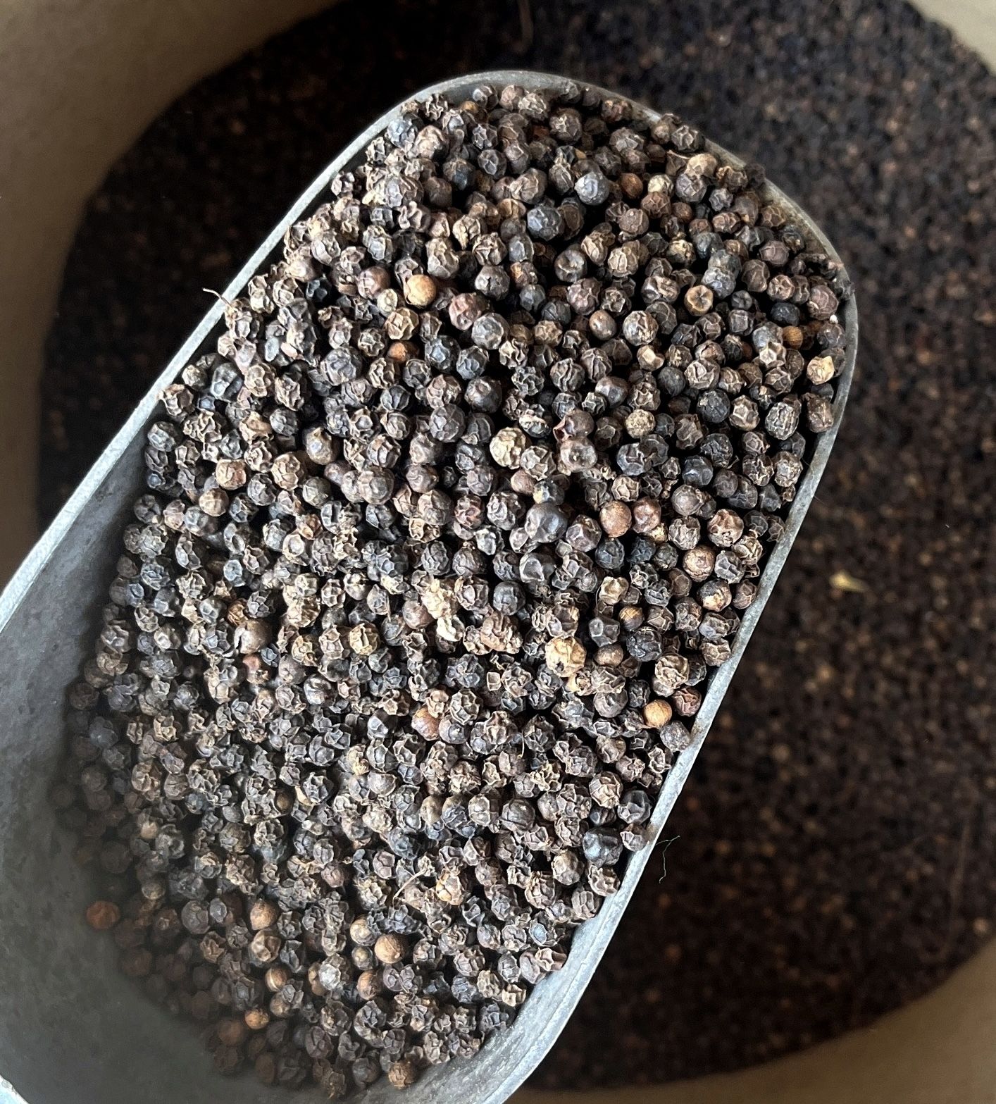 Buy Whole Black Pepper from sukanya phaphon, Australia | Tradewheel.com