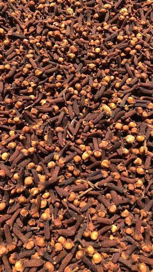 Buy Organic Natural Best Price Cloves from The Indonesian Spices ...