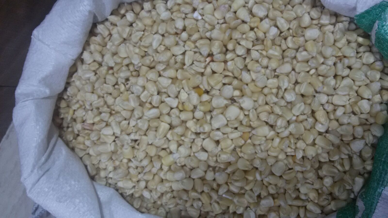 Buy Non Gmo White Maize ( Corn) For Sale from GLACIER COMPANY LIMITED ...