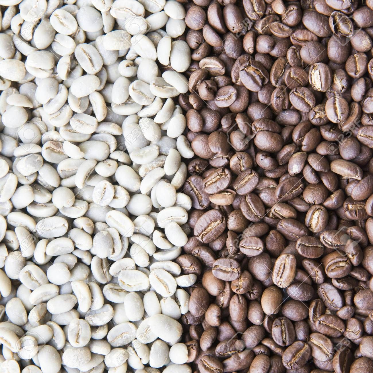 Buy Organic Robusta Coffee Beans High Quality Green And Roasted For ...