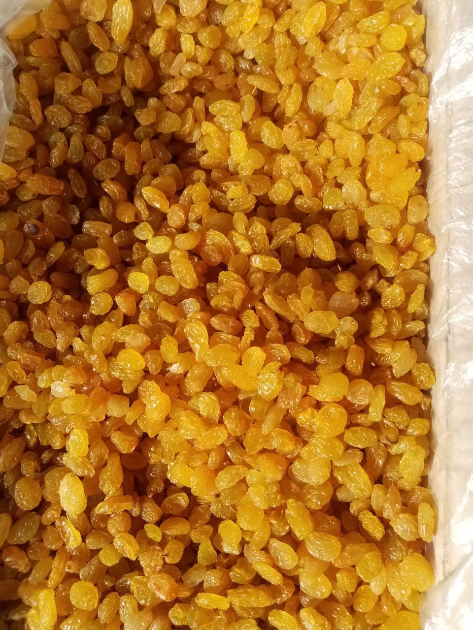 Buy Raisins All Type from world import export trade, Uzbekistan ...