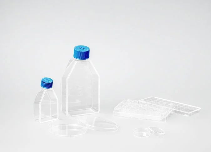 Buy Pakgent Cl-f025p T25 Cell Culture Flask from PakGent Bioscience ...