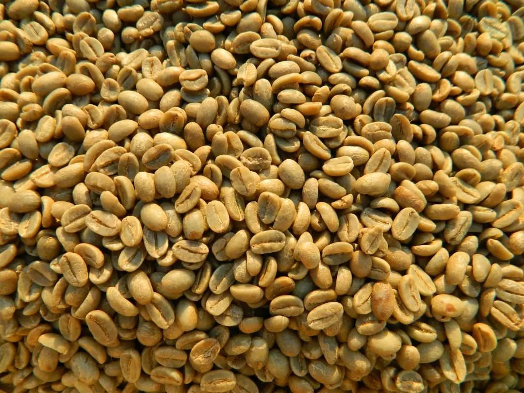 Buy Green Arabica And Robusta Coffee Beans from ELIMANI AGRO TRADING CO ...