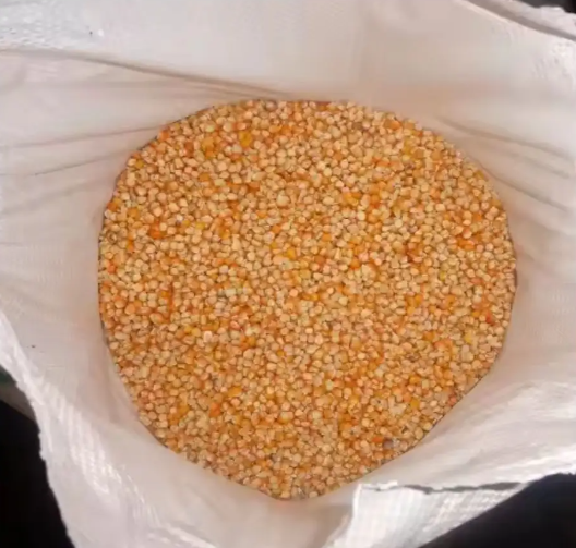 Buy Yellow Corn (animal Feed) from Cobra Met Co, Ltd, Cameroon ...