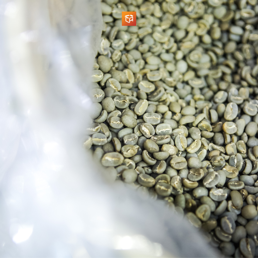 Buy Robusta Green Bean Coffee Wp Grade 1 M from PT Exim Jaya Abadi ...