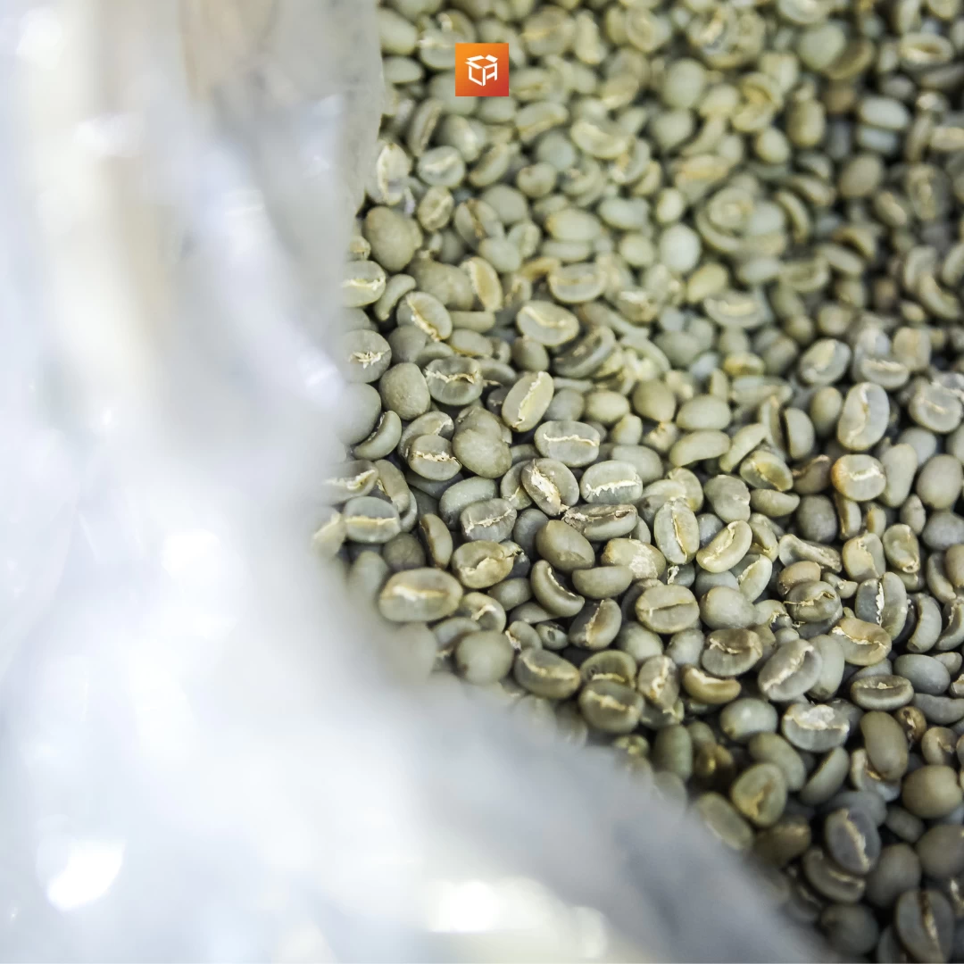 Buy Robusta Green Bean Coffee Wp Grade 1 M from PT Exim Jaya Abadi ...