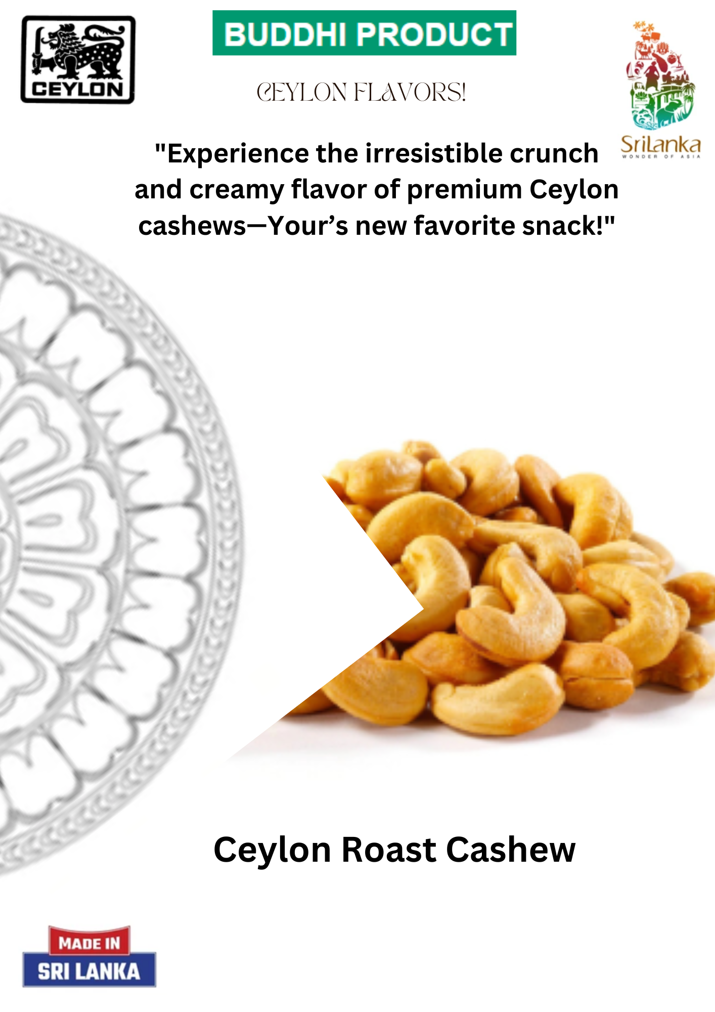 Buy Premium Ceylon Roast Cashew Nuts - 100g Pack | Export Quality from ...