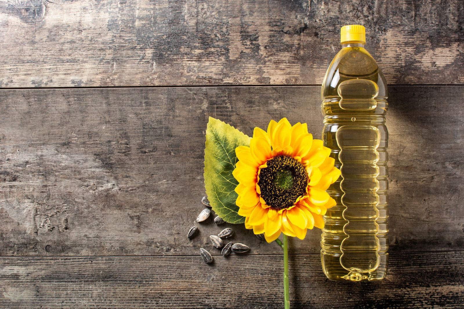 Buy Palm Oil from Java Exportindo PMA, Indonesia | Tradewheel.com