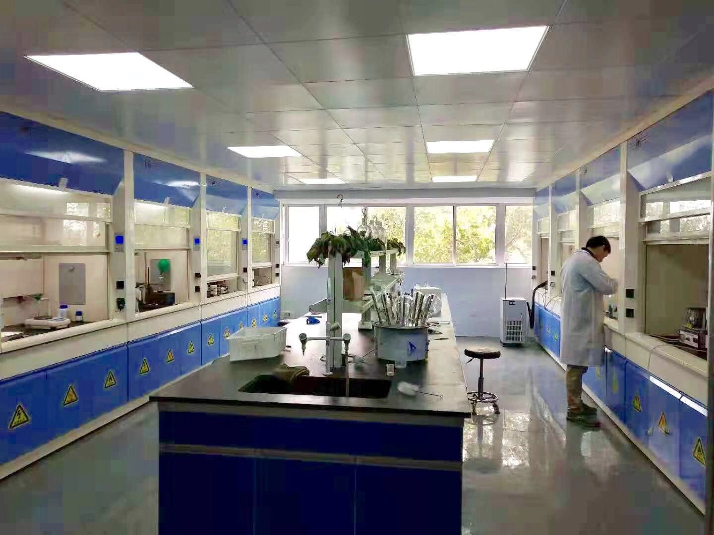 Buy Acid Flavor Regulator Lactic Acid Powder With Best Price from Wuhan ...