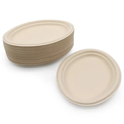 Buy Biodegradable Bagasse Dishes Tableware Disposable Sugarcane Pulp ...