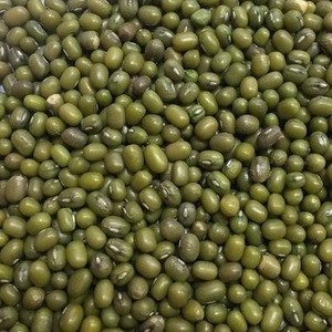 Buy Green Mung Beans Ethiopia from AS GLOBAL LLC, China | Tradewheel.com