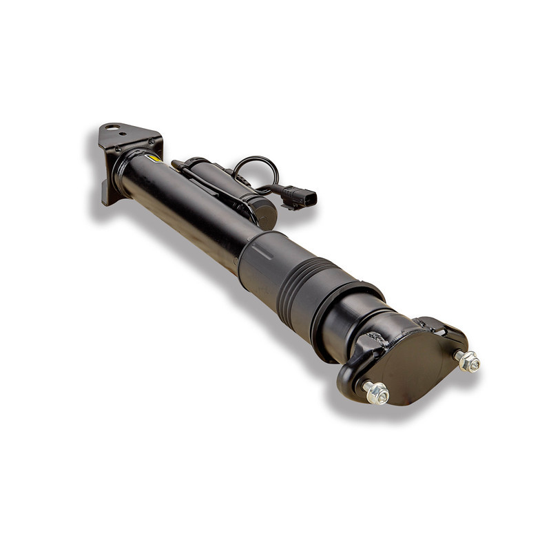 Buy Oe A2513201031 Rear Shock Absorber Suspension System Auto Shock ...