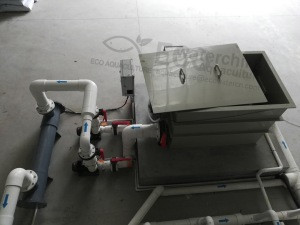 Buy Ras System Aquaculture Pond Ras Farming System, Aquaculture Shrimp ...