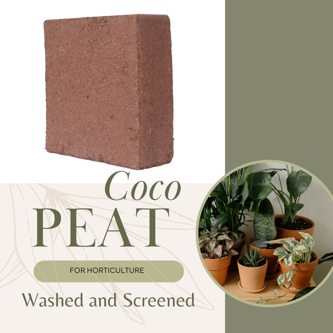 Buy Coco Peat - 5kg Block from Srimathi Exports, India | Tradewheel.com
