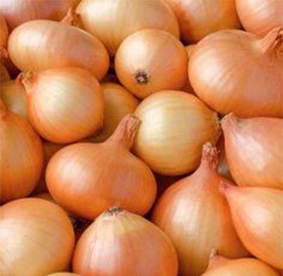 Buy Onion from Agri Crop, Egypt | Tradewheel.com