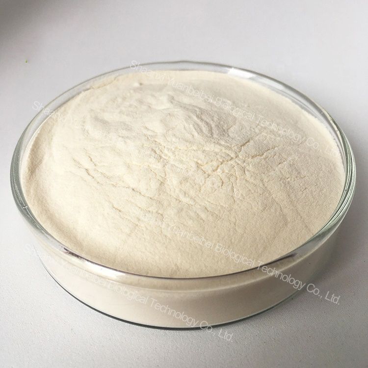 Buy Organic Lemon Fruit Juice Concentrate Powder from Firbeza, China ...