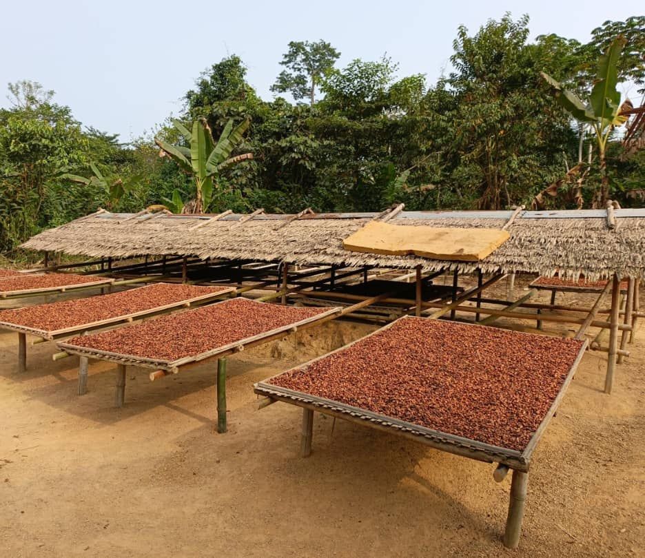 Buy High Quality Cocoa Beans From Benin from RUSSE GLOBALE, Benin ...