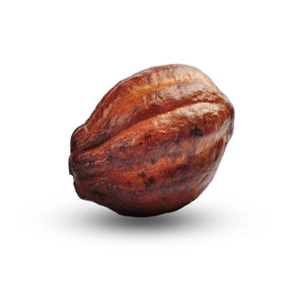 Buy High Quality Cocoa Beans from MILKTECH LTD, United Kingdom ...