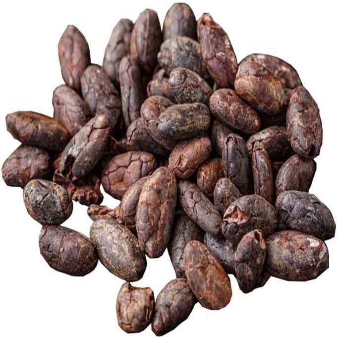 Buy High Quality Cocoa Beans from MILKTECH LTD, United Kingdom ...