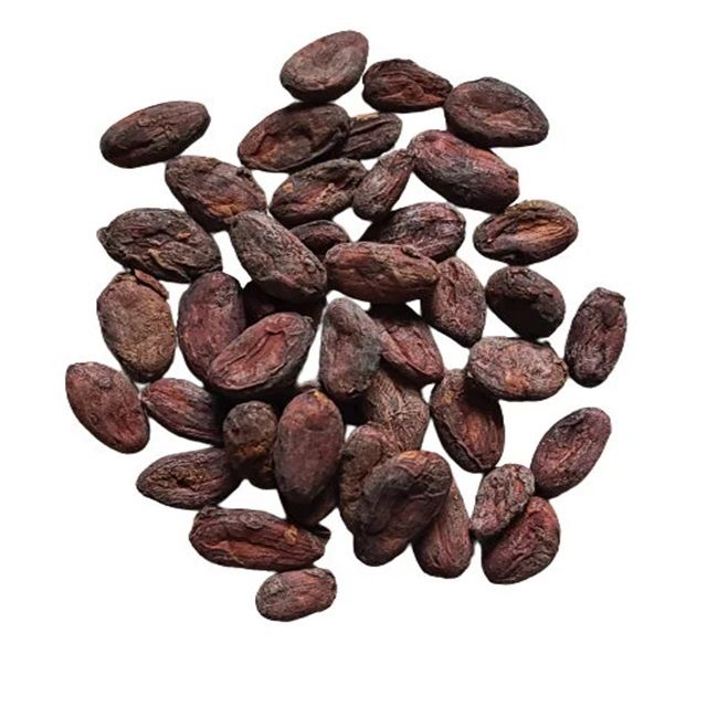 Buy High Quality Cocoa Beans from MILKTECH LTD, United Kingdom ...