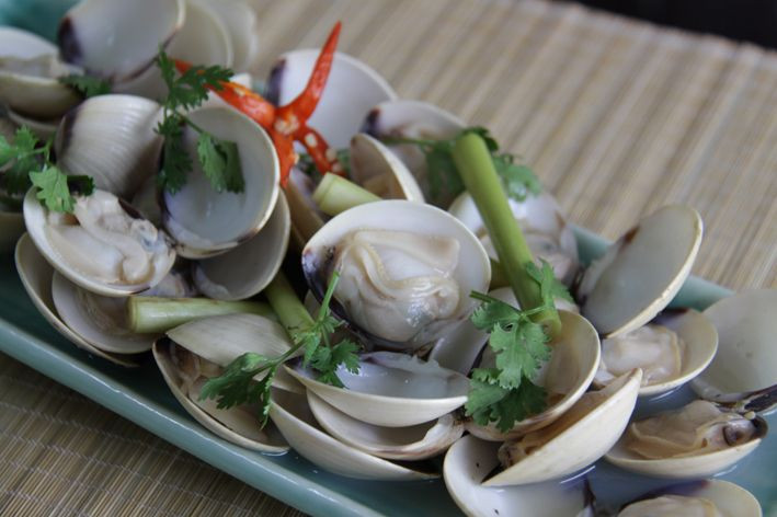 Buy Frozen Clam Meat from Ben Tre Seafood Joint Stock Company, Vietnam ...