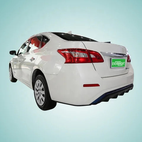 Buy 2024 New Energy Style Four Wheel Electric Car For Sale Everbright ...