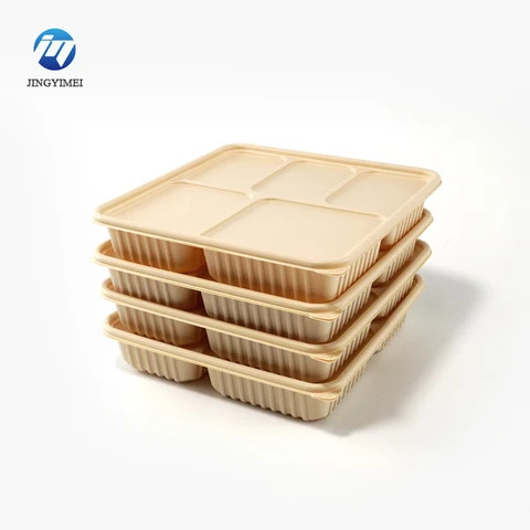 Buy Bento Pp Plastic Lunch Boxes Disposable Plastic Takeaway Boxes 5 ...