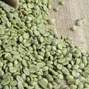 Buy Brazil Organic Raw Arabic Green Coffee Beans Wholesale from ABN8 ...