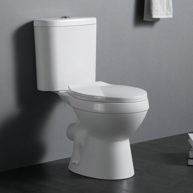 Buy C1004 Sanitary Wares Cheap Price White Glaze Washdown Ceramic Two Piece Toilet from Shenzhen ...