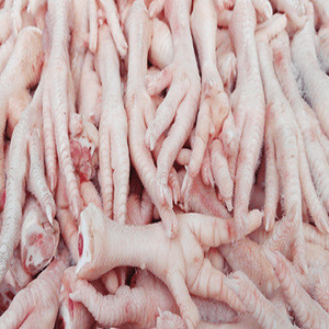Buy Chicken Paws Frozen Processed Chicken Paws From Pakistan/ A Grade ...