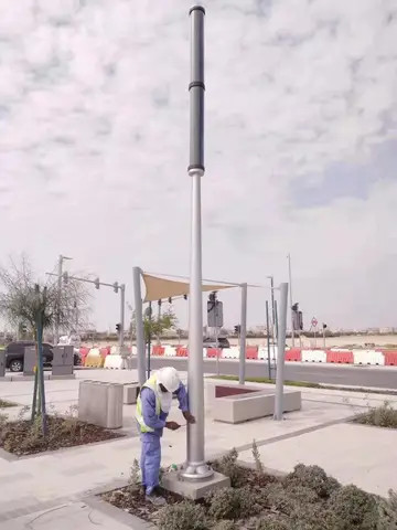 Buy Ddk Outdoor Integrated Solar Light Pole from Ddk Tech Elecfacility ...