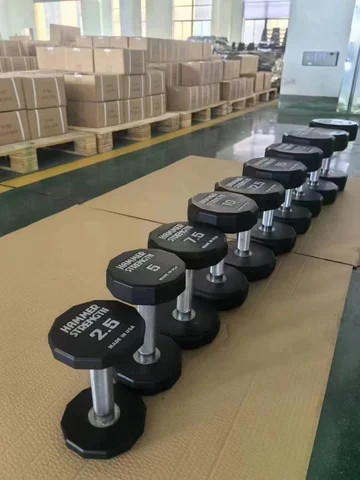 Buy Durable Cpu 12-side Bodybuilding Weights Safe Effective Home Gym ...