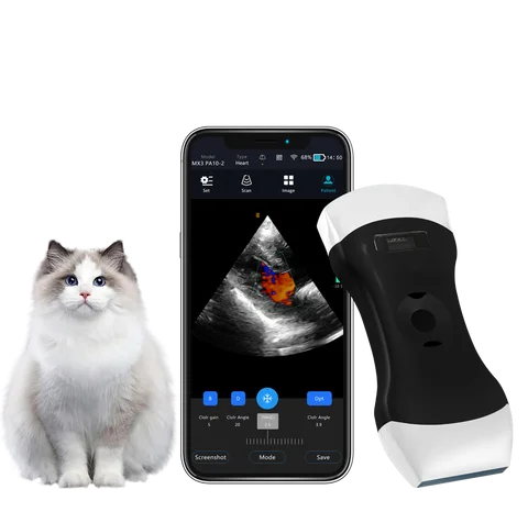 Buy Hot Selling Handheld Wireless Color Doppler Ultrasound Convex ...