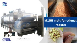 Buy Multifunctional Groundnuts Roasting Machine Stainless Steel Almonds ...