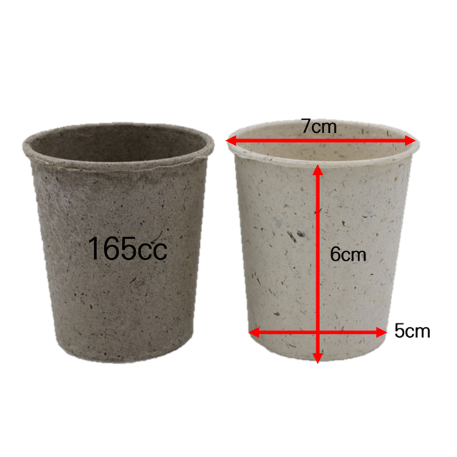 Buy Paper Cup Eco Friendly Non Plastic Biodegradable Seaweed Extract ...