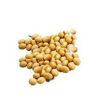 Buy Premium Quality Sweet Quality Soya Bean For Oil , Soybean , Soybean ...