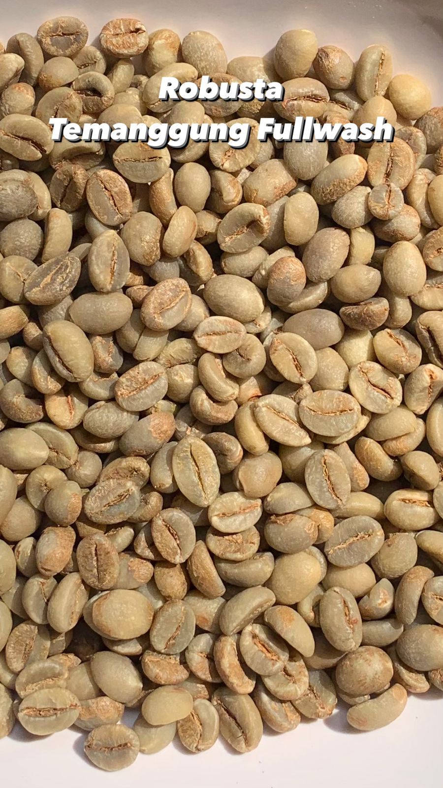 Buy Java Rubusta Coffee Beans from Gikana Abadi Sukses, Indonesia ...