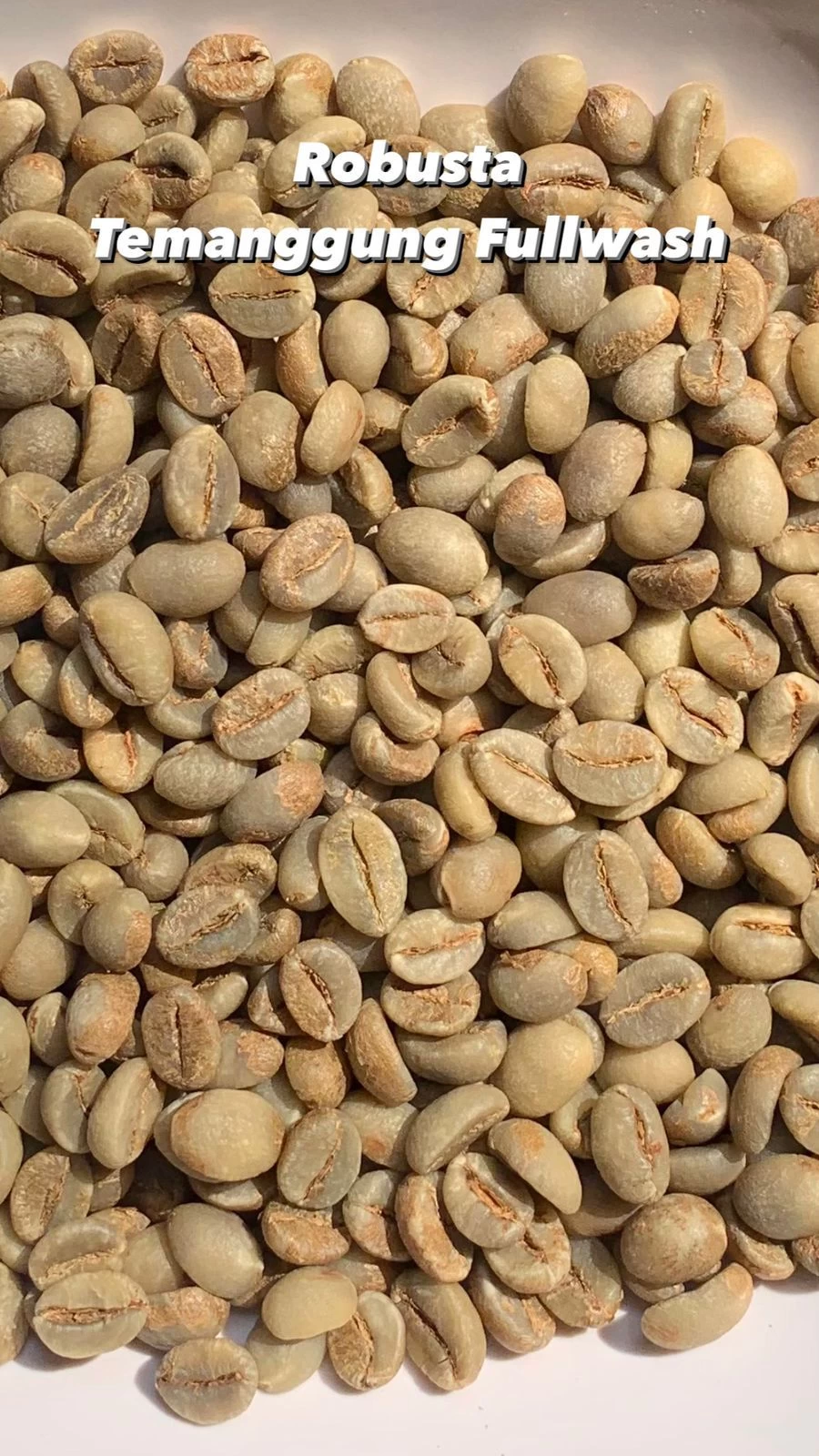 Buy Java Rubusta Coffee Beans from Gikana Abadi Sukses, Indonesia ...