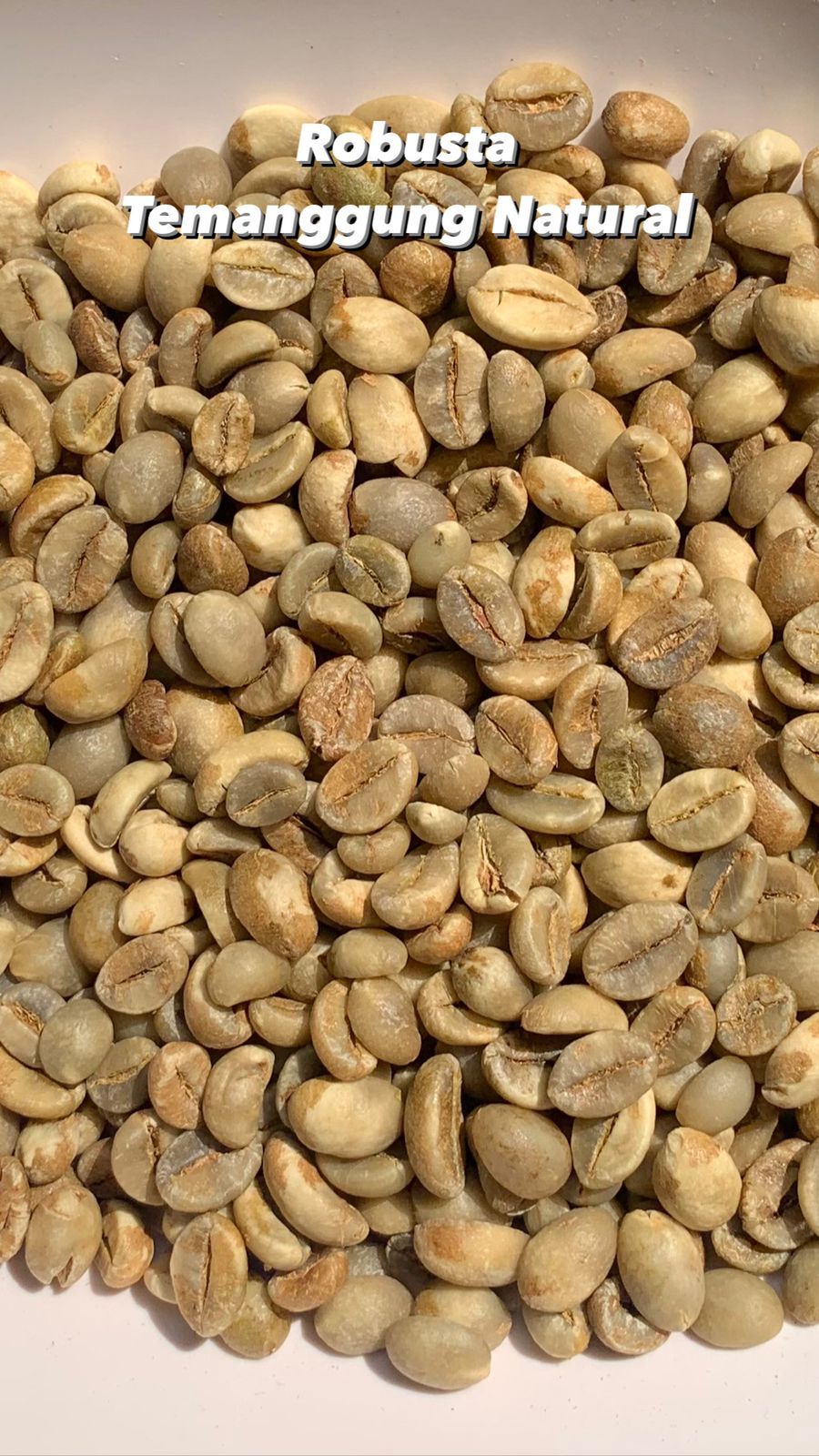 Buy Java Rubusta Coffee Beans from Gikana Abadi Sukses, Indonesia ...