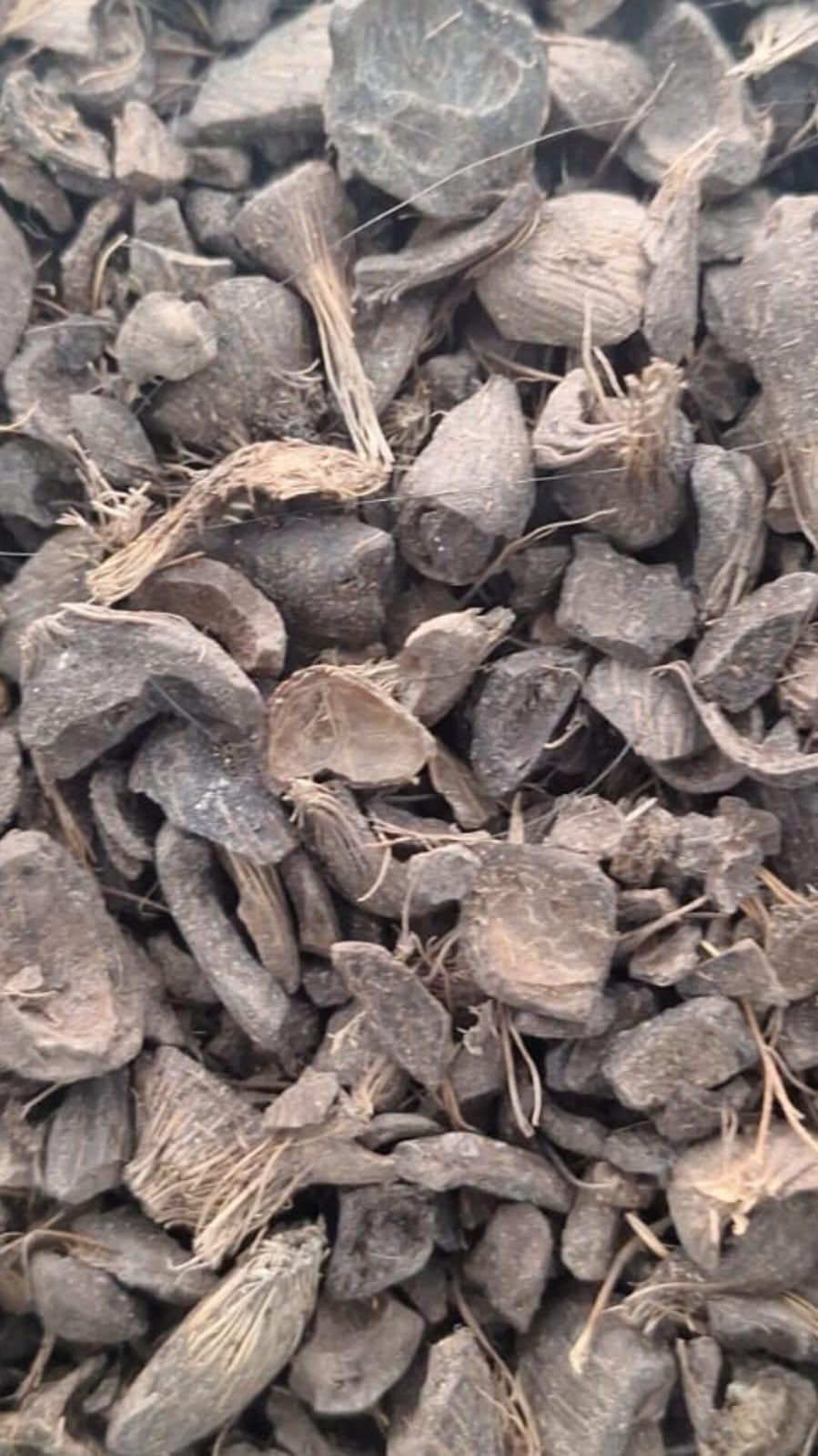 Buy Palm Kernel from Pt AMS, Indonesia | Tradewheel.com