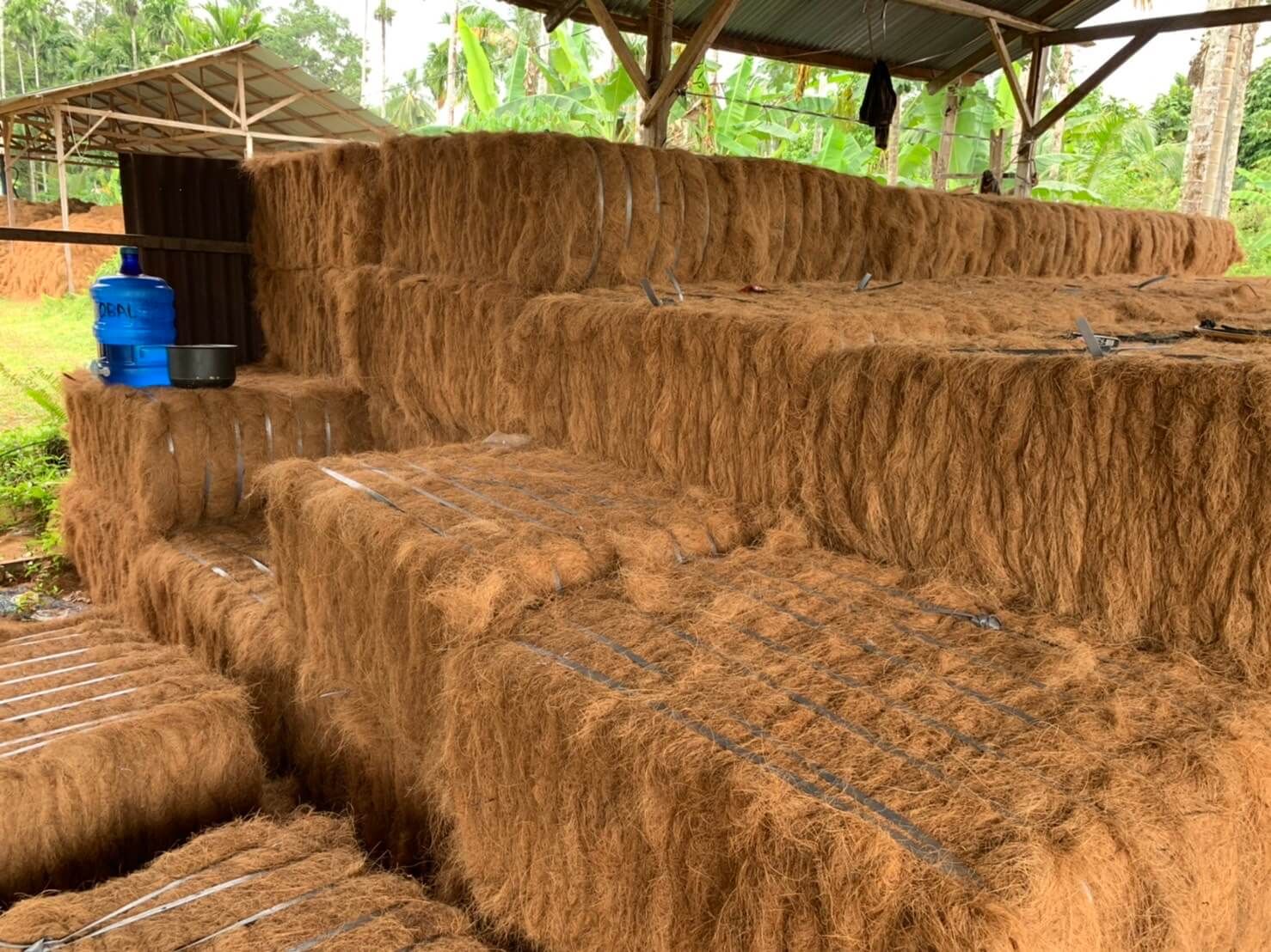 Buy Coconut Fiber from PT. ZONA INDUSTRI EKSTRAKTIF, Indonesia ...