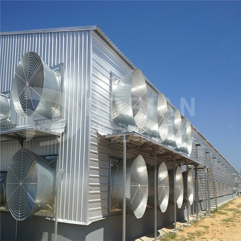 Buy Modern New Type Poultry Broiler Building Steel Structure Chicken ...