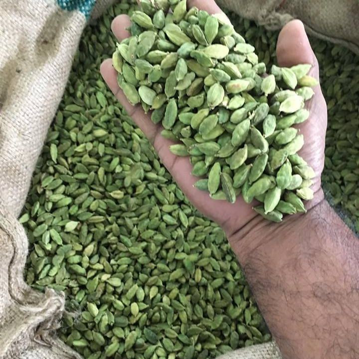 Buy Whole Green Cardamom / (cardamomo) / Top Quality Cardamom / Fresh ...