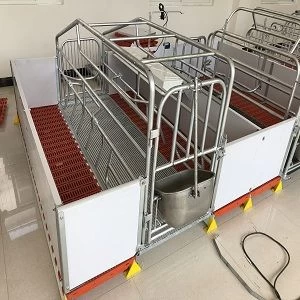 Buy Farrowing Crates from Zhengzhou Mus Agro Tech Co.Ltd, China ...