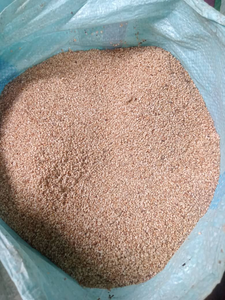 Buy High Quality Naturally Organic Sesame Seeds from Edusgrace ...
