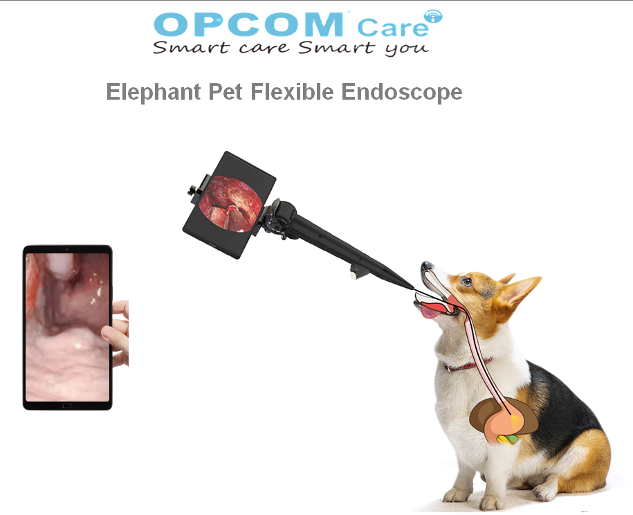 Buy Elephant Pet Flexible Endoscope from OPCOM O.E.(DONGGUAN) INC ...