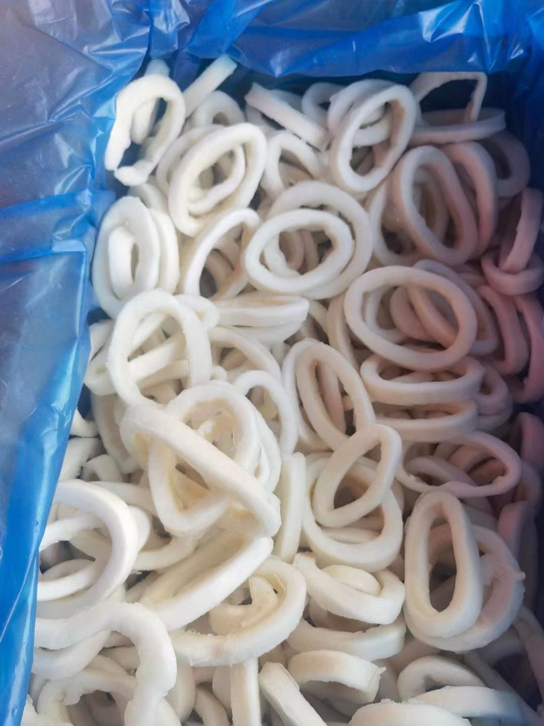 Buy Squid Ring from Yantai Transocean Foodstuff co.,ltd, China ...