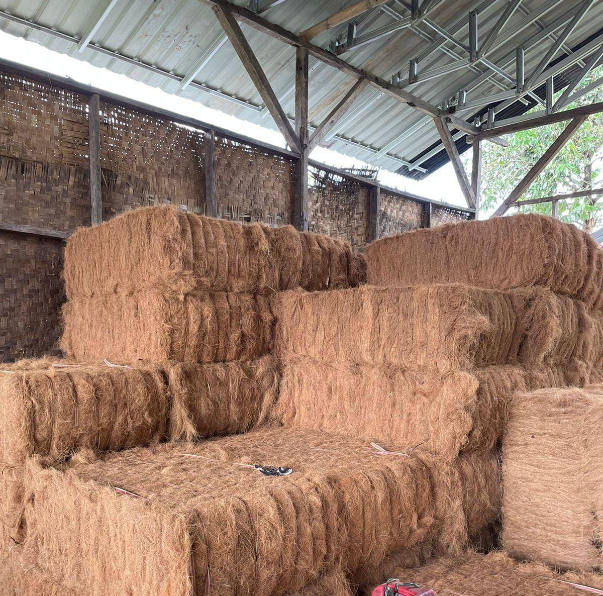 Buy Coconut Fiber from PT. Universal Agrobisnis Indonesia, Indonesia ...