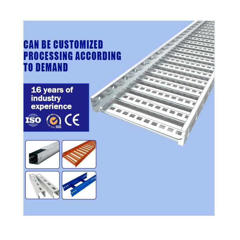 Buy Perforated Type Steel Hot Dip /pre-galvanized Trunking Metal Ladder ...